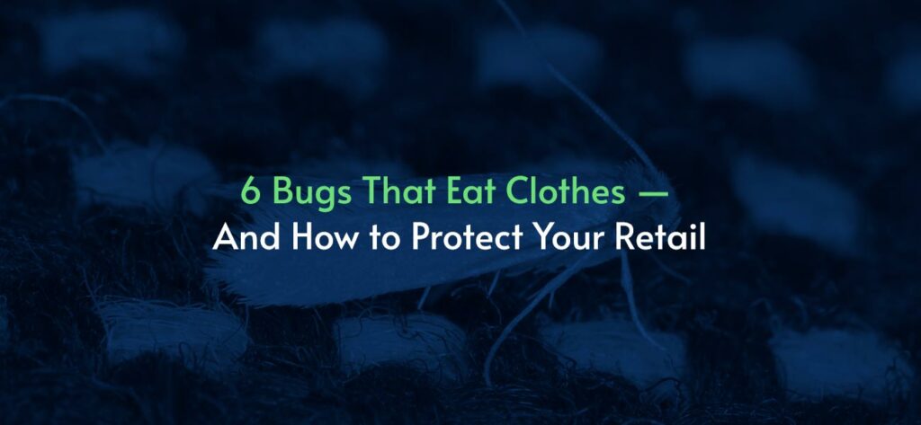 6 Bugs That Eat Clothes — And How to Protect Your Retail