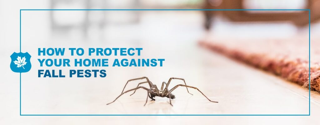 Fall Pests: Everything You Need to Know | Pestech