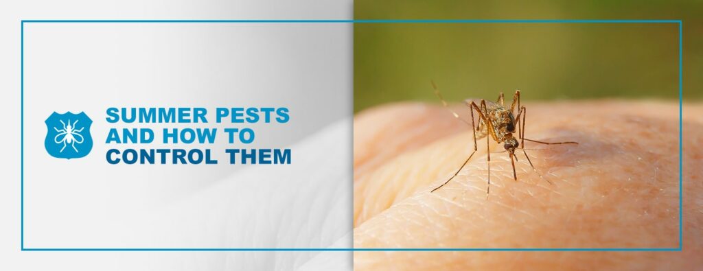 Summer Pests: Everything You Need to Know | Pestech