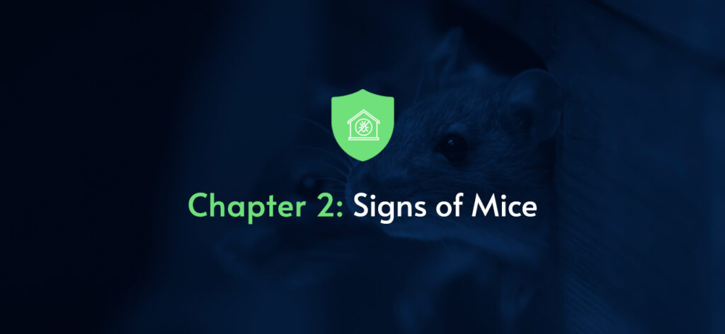 Chapter 2: Signs of Mice | Online Guide from Pestech