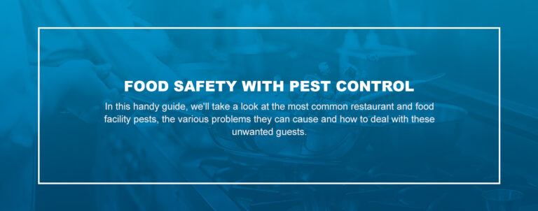 Food Safety and Pest Control | Everything You Need to Know