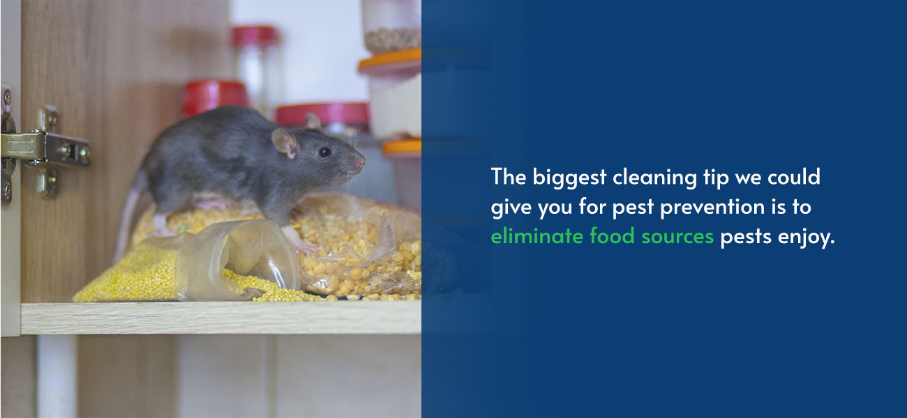 8 Cleaning Tips to Keep a Pest-Free Home | Pestech