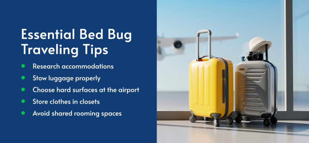 What to Know About Bed Bugs When Traveling - Pestech - Pest Control and ...