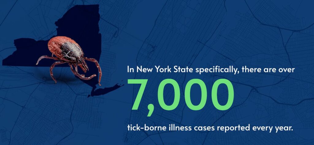 Tick-Borne Diseases on the Rise in New York: Are You at Risk? - Pestech ...