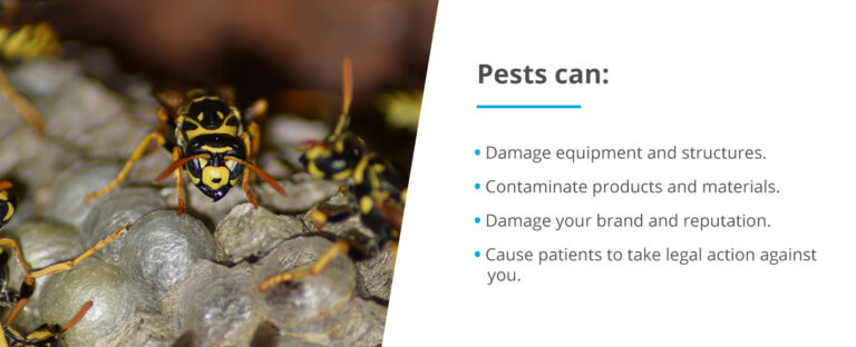 How to Control Pests in Hospitals and Health Care Facilities