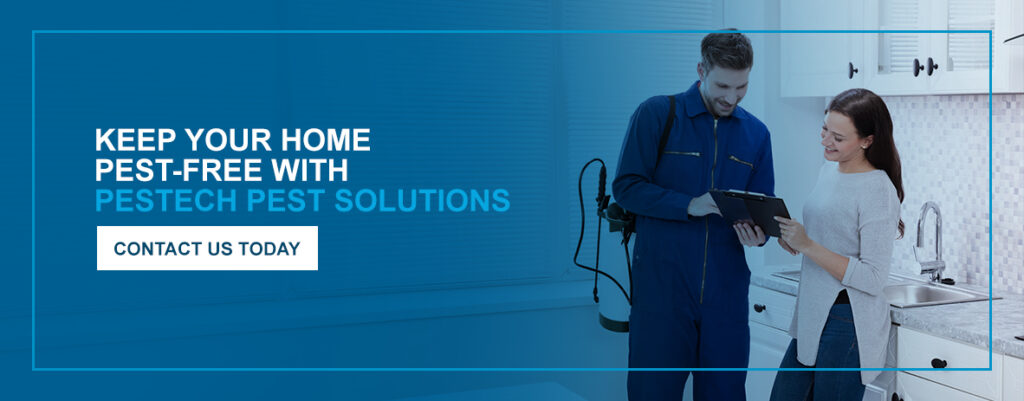 Fall Pests: Everything You Need to Know | Pestech