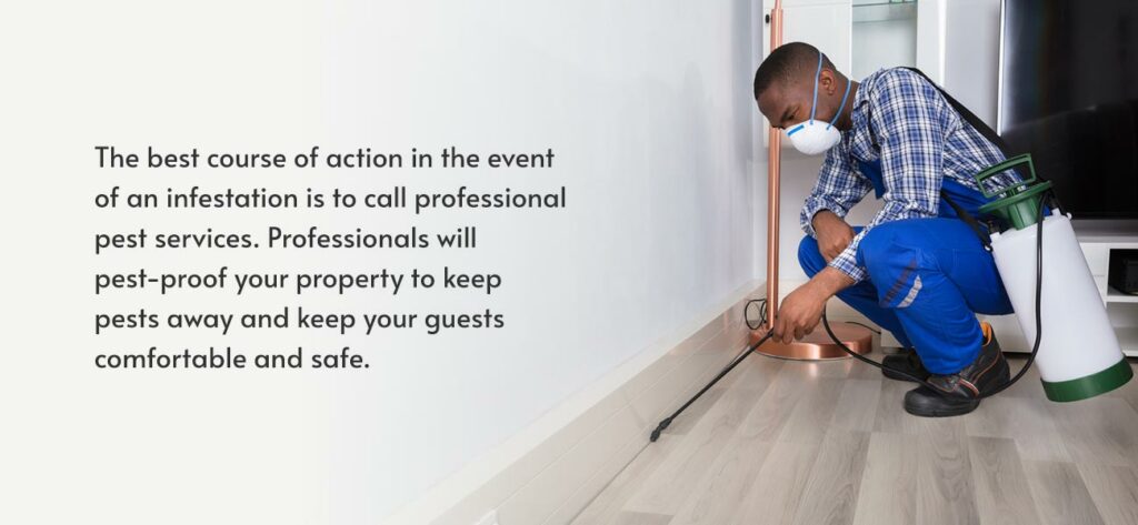 7 Most Common Bugs in Hotels - Pestech - Pest Control and Exterminator ...