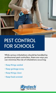 Most Common School Pest Infestations - Pestech - Pest Control and ...