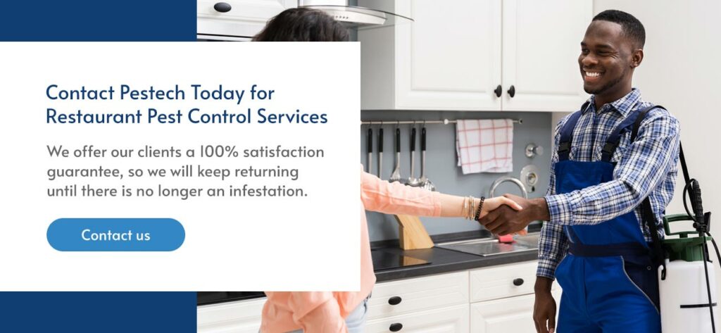 The Most Common Kitchen Restaurant Pests - Pestech - Pest Control and ...