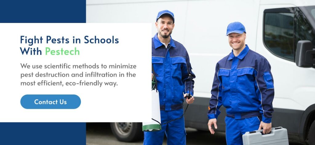 Why Are Pests Such a Problem in Schools? - Pestech - Pest Control and ...