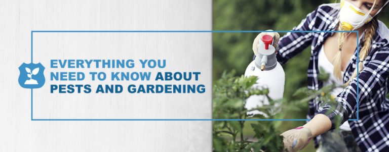 Pests & Gardening: The Complete Guide | Pestech Pest Control