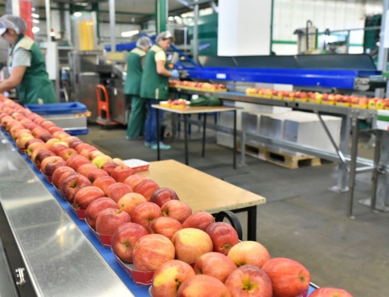 Pest Control for Food Processing Facilities in New York