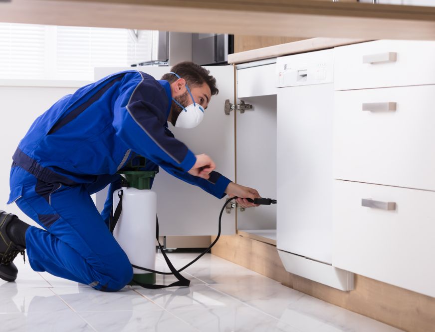 NY Integrated Pest Management (IPM) | Pestech Pest Solutions NY Integrated Pest Management (IPM) | Pestech Pest Solutions