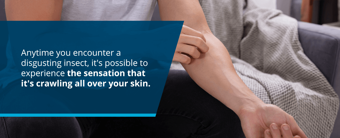 The Emotional Effects of Pest Infestations | Pestech