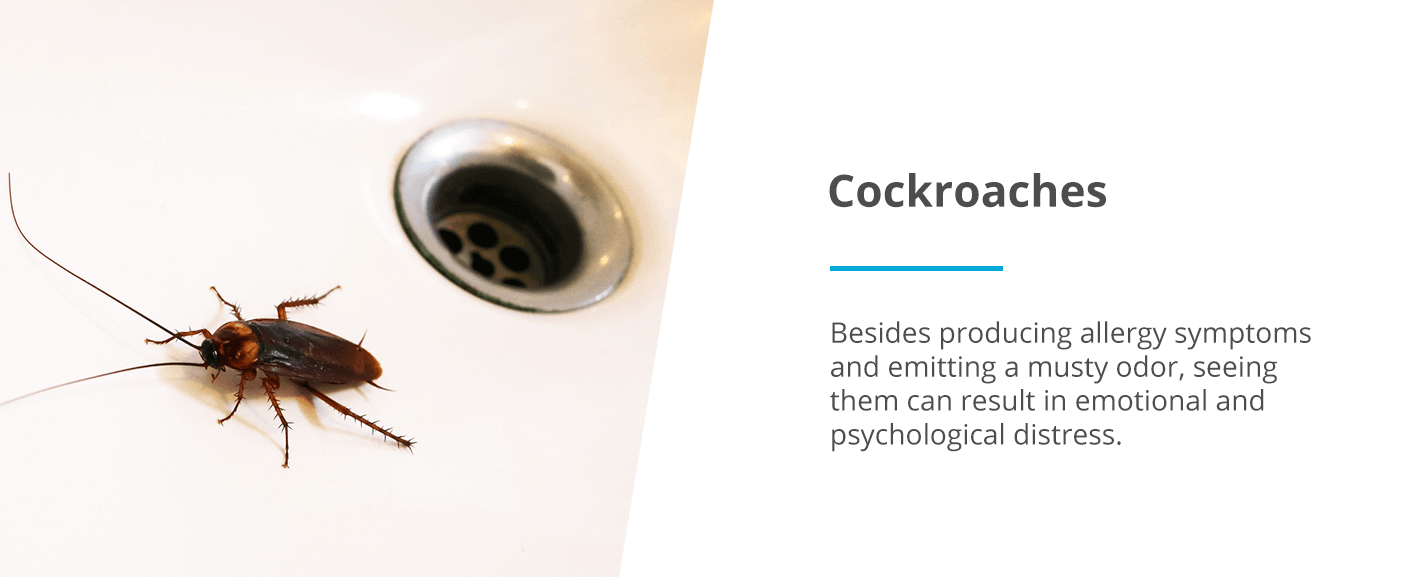 Emotional Effects of Pest Infestations - Pestech Pest Solutions