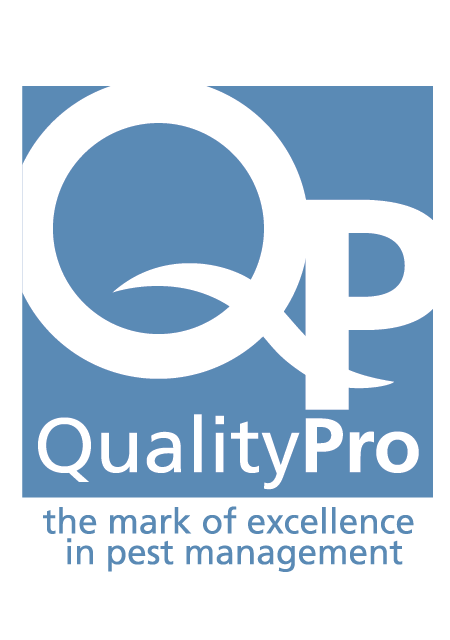 Pest Control Company in New York | Pestech Pest Solutions